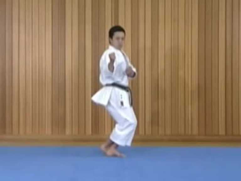 Performing Penetrating Side Kick (Yoko-Geri-Kikomi) - Karateka