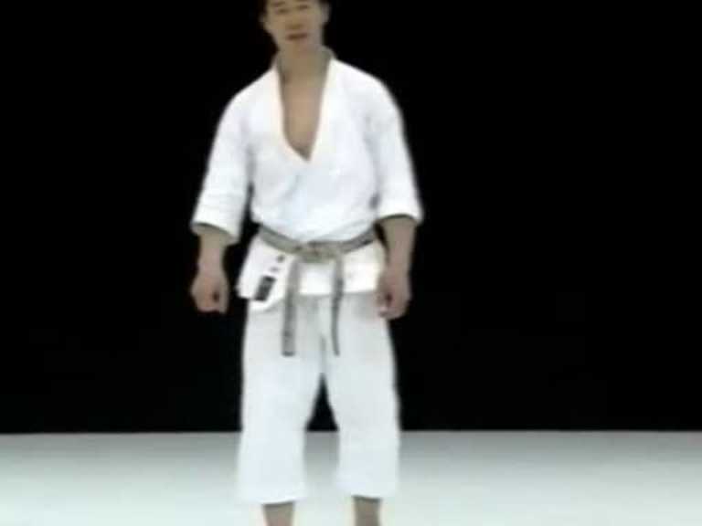 Explaining Chasing Punch (Oi-Zuki) - Karateka